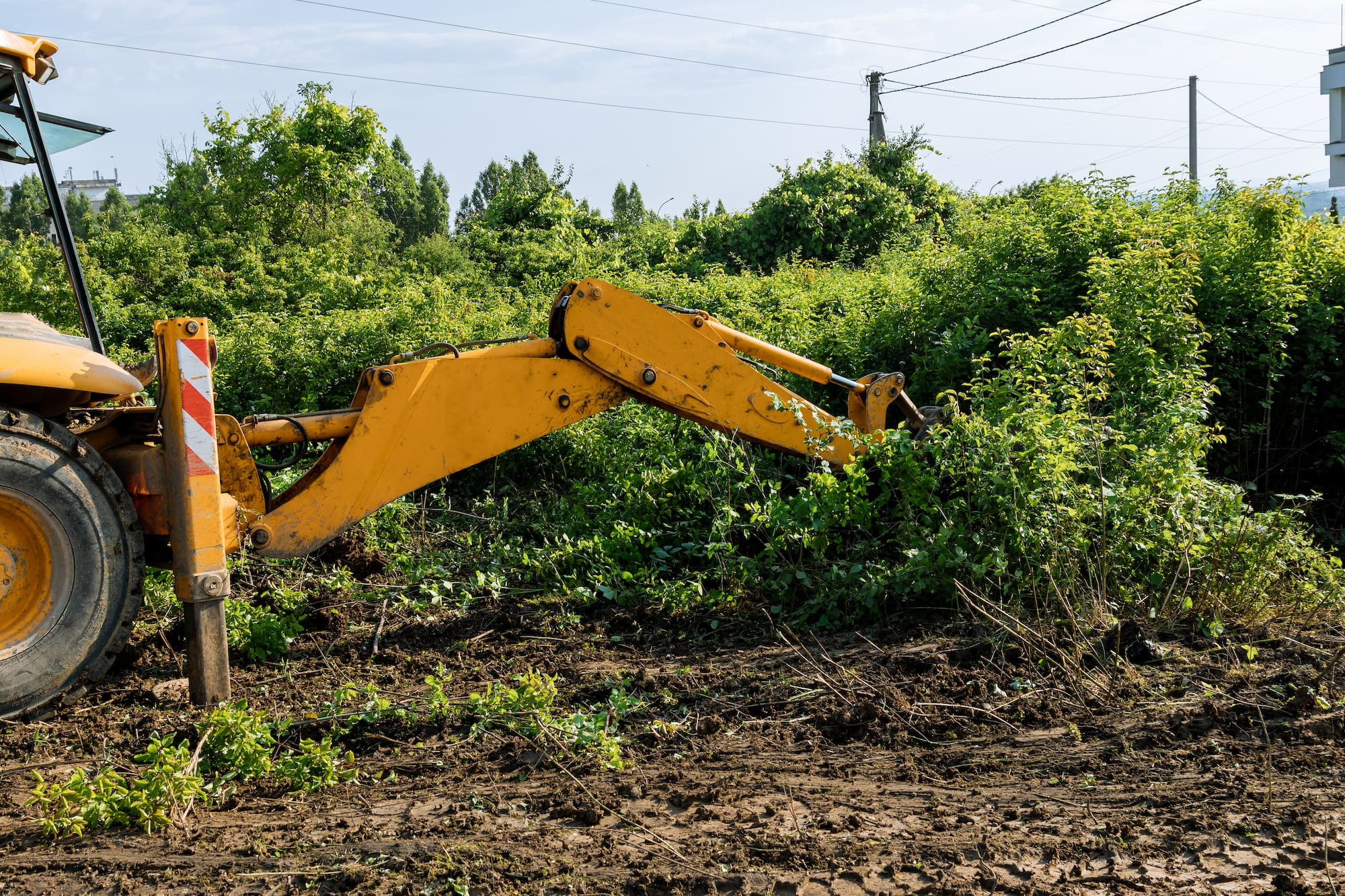 Vegetation Management Services in Northern CA | Lund Brothers